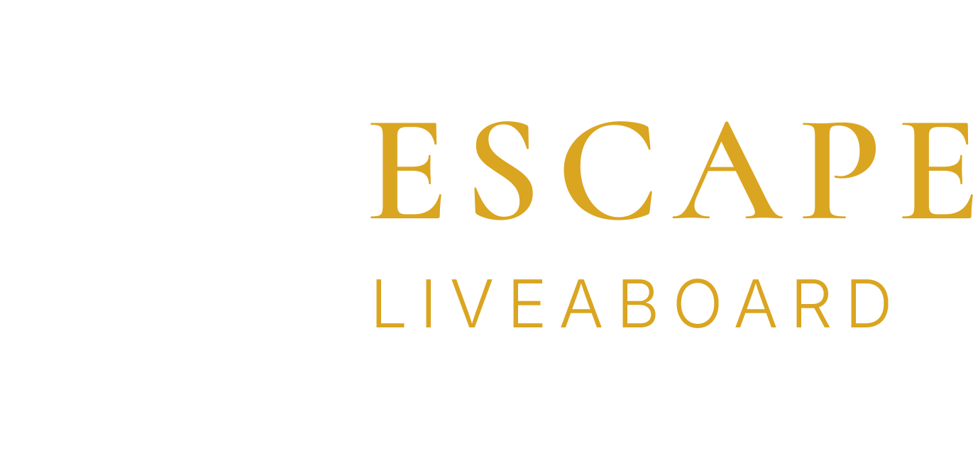 About Us | Escape Liveaboard